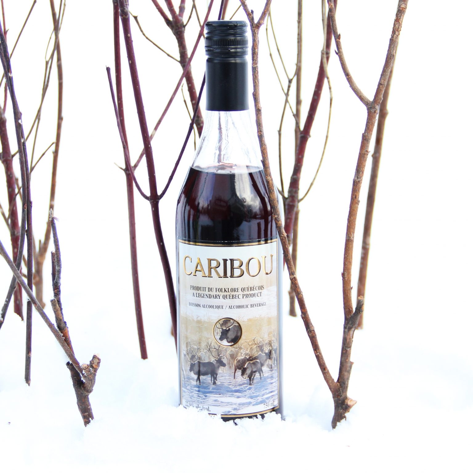Connaissez-vous le caribou? - Temps Libre