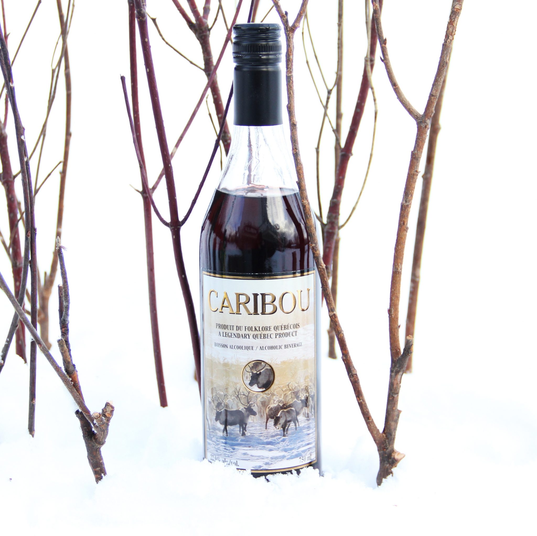 Connaissez-vous le caribou? - Temps Libre