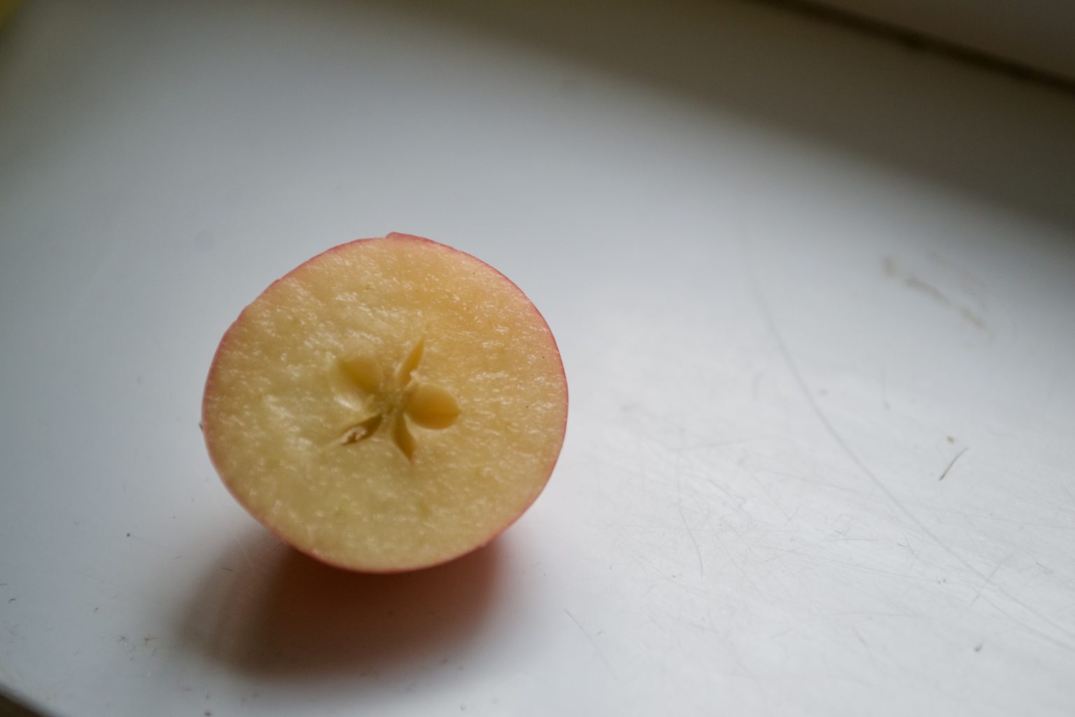 Faire la meilleure gelée de pommettes - Temps libre